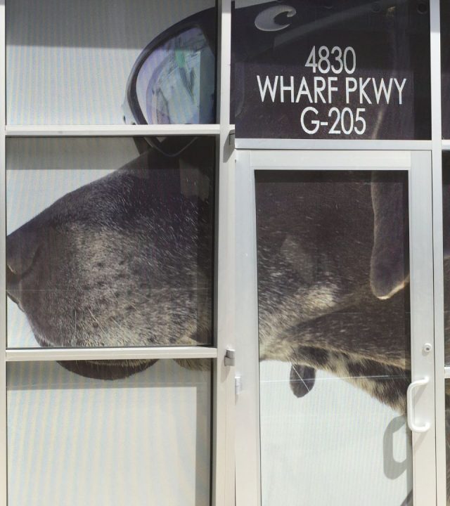 Perforated Window Film | InvisiGuard Window Tinting